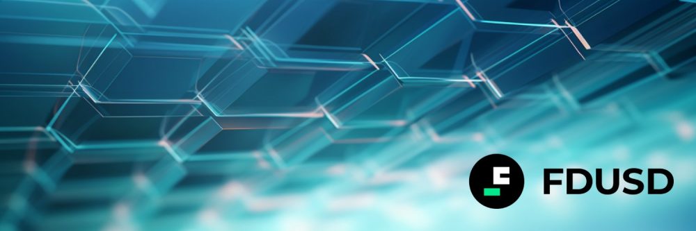 专访 First Digital：FDUSD 与币安完全独立，考虑推出其他法币稳定币 - Web3Caff